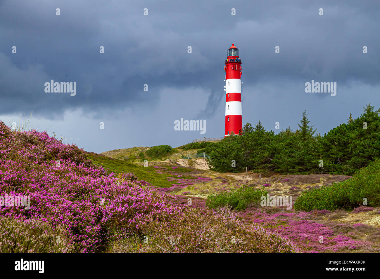 Leuchturm amrum -Fotos und -Bildmaterial in hoher Auflösung – Alamy