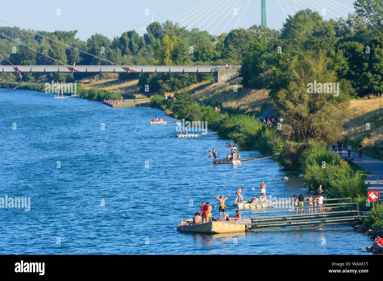 Wien, Wien: Fluss Neue Donau (Neue Donau), Schwimmer für Badende ...