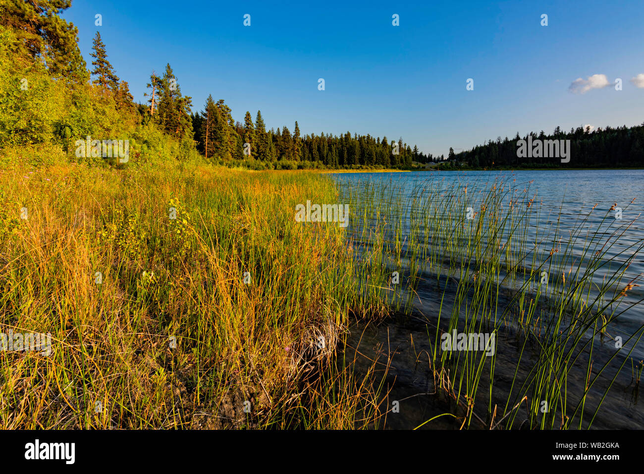 Alleyne See bei Sonnenuntergang in Kentucky Alleyne Provincial Park in ...