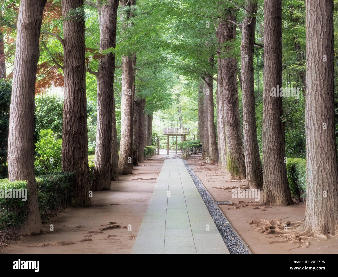 Ogikubo park -Fotos und -Bildmaterial in hoher Auflösung – Alamy