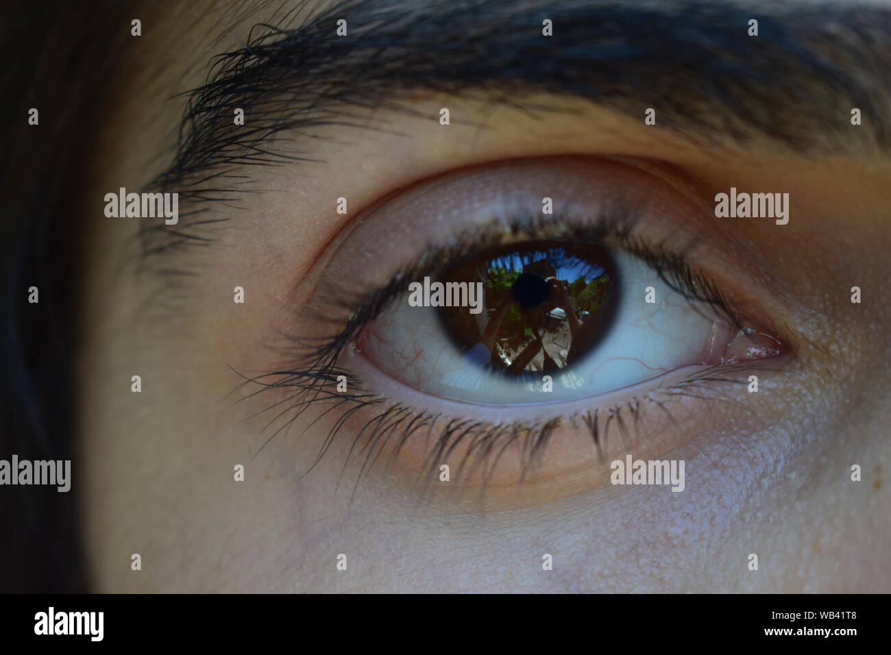 Das augenkonzentrat -Fotos und -Bildmaterial in hoher Auflösung – Alamy
