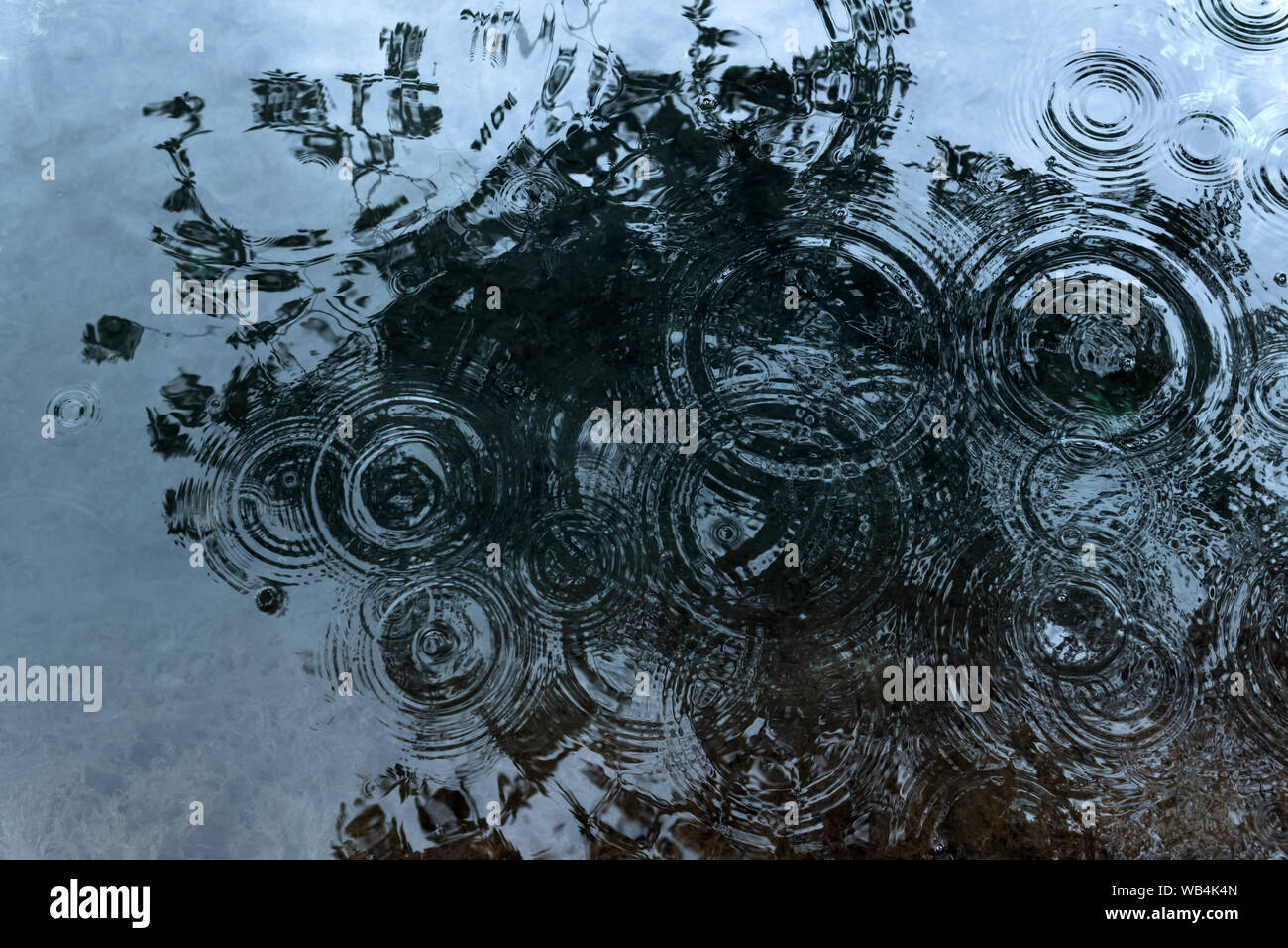 Natur Konzentrische Kreise Stockfotos und -bilder Kaufen - Alamy