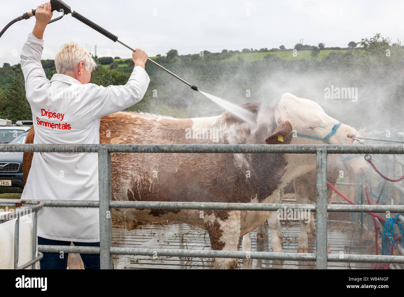 Landwirtschaftsausstellung in ballygarvan -Fotos und -Bildmaterial in ...