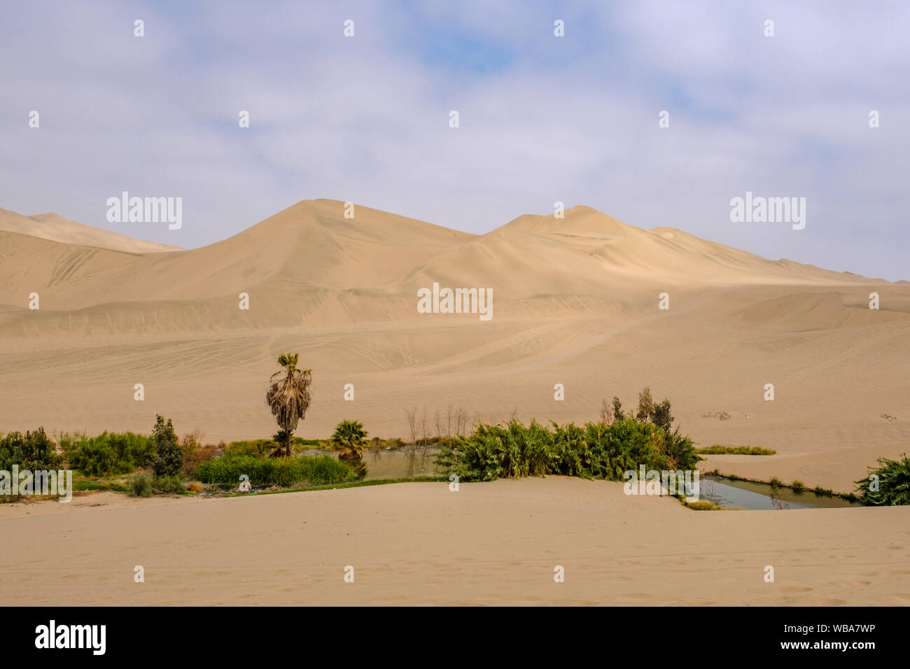 Oase huacachina -Fotos und -Bildmaterial in hoher Auflösung – Alamy