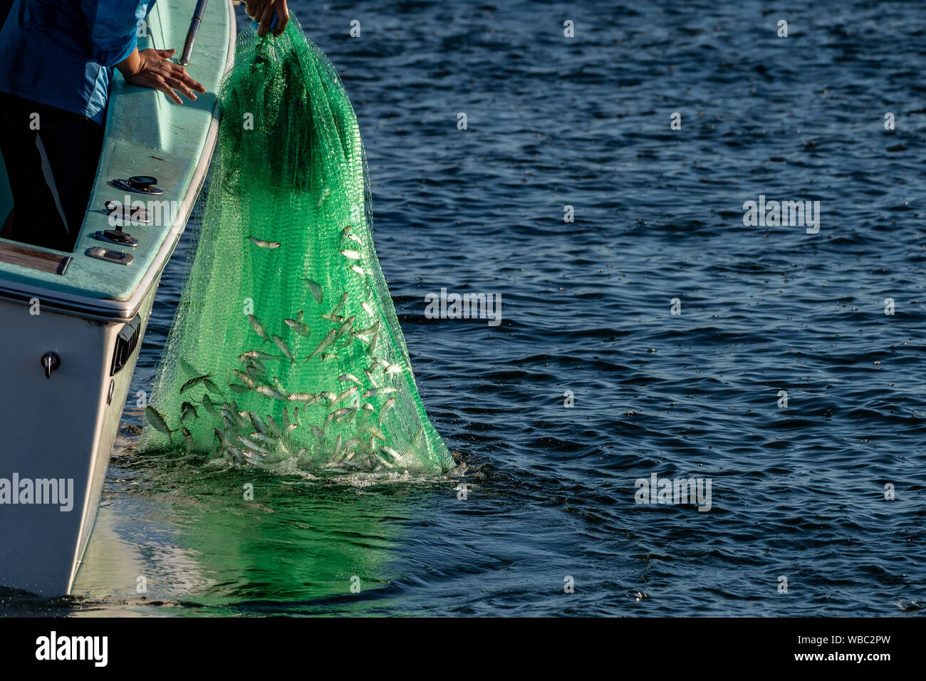 Netz voller fische -Fotos und -Bildmaterial in hoher Auflösung – Alamy