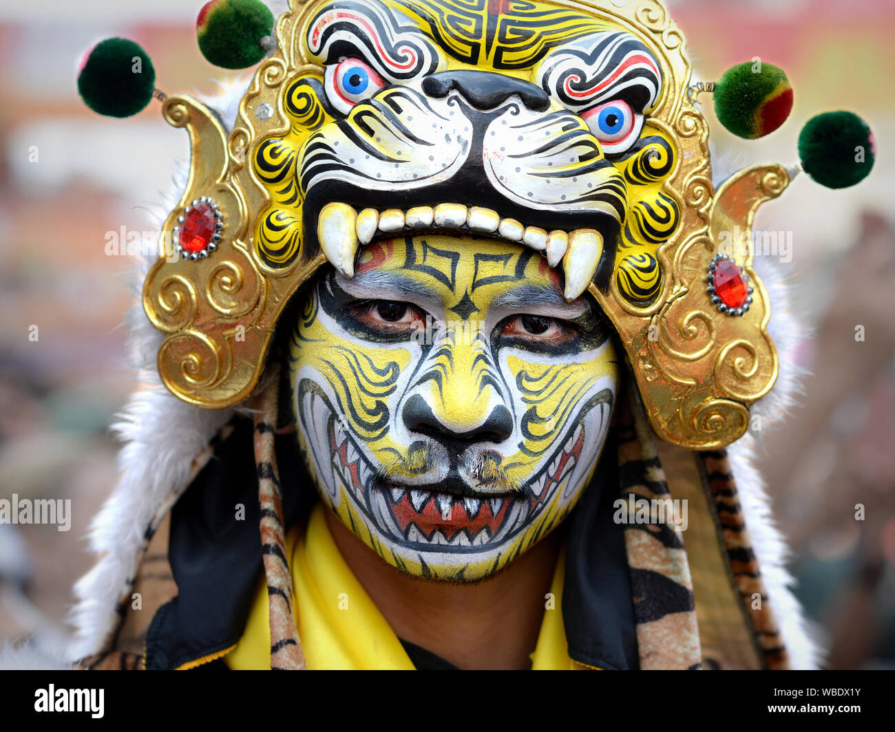 Tiger mask -Fotos und -Bildmaterial in hoher Auflösung – Alamy