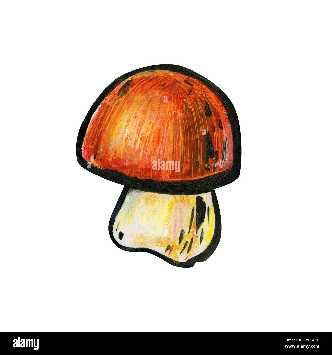 Ein Pilz. Herbst Konzept. Cep oder steinpilze. Pilz mit einem rot ...