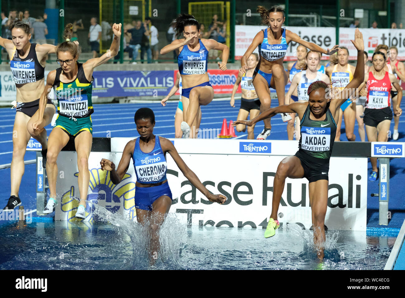 Siepi siepi siepi siepi -Fotos und -Bildmaterial in hoher Auflösung – Alamy