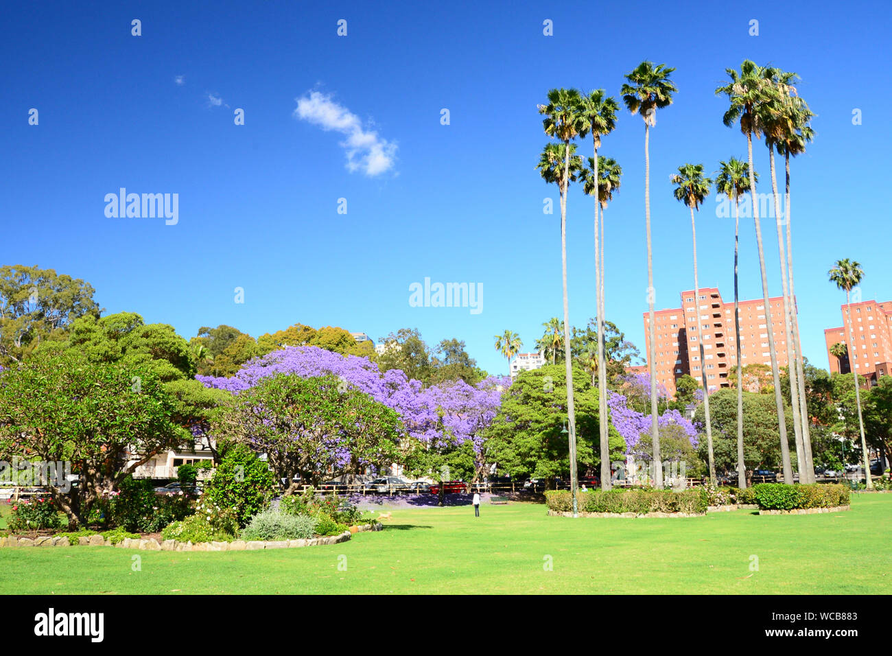 Kirribilli sydney -Fotos und -Bildmaterial in hoher Auflösung – Alamy