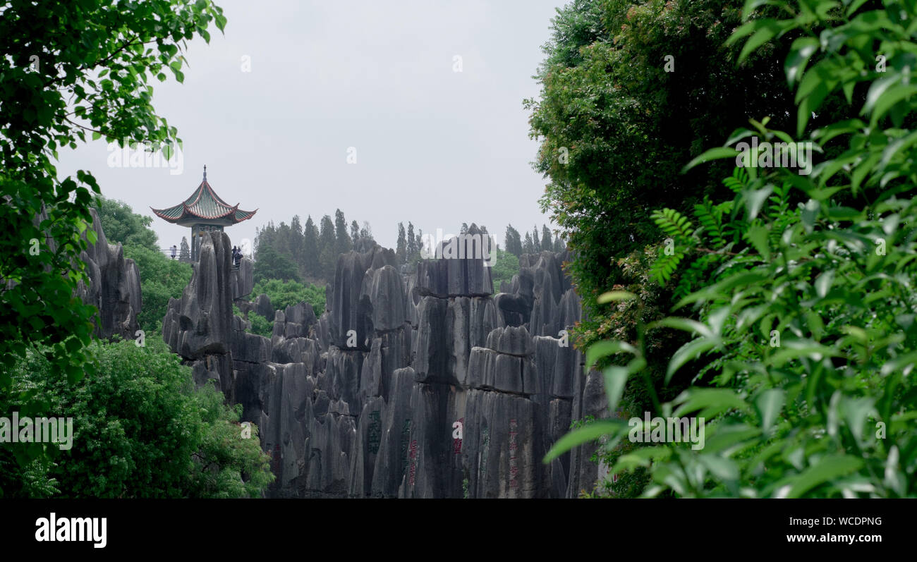 Naigu stone forest scenic area -Fotos und -Bildmaterial in hoher ...