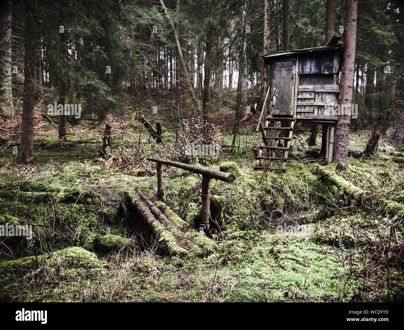 Hütte im wald -Fotos und -Bildmaterial in hoher Auflösung - Seite 4 - Alamy