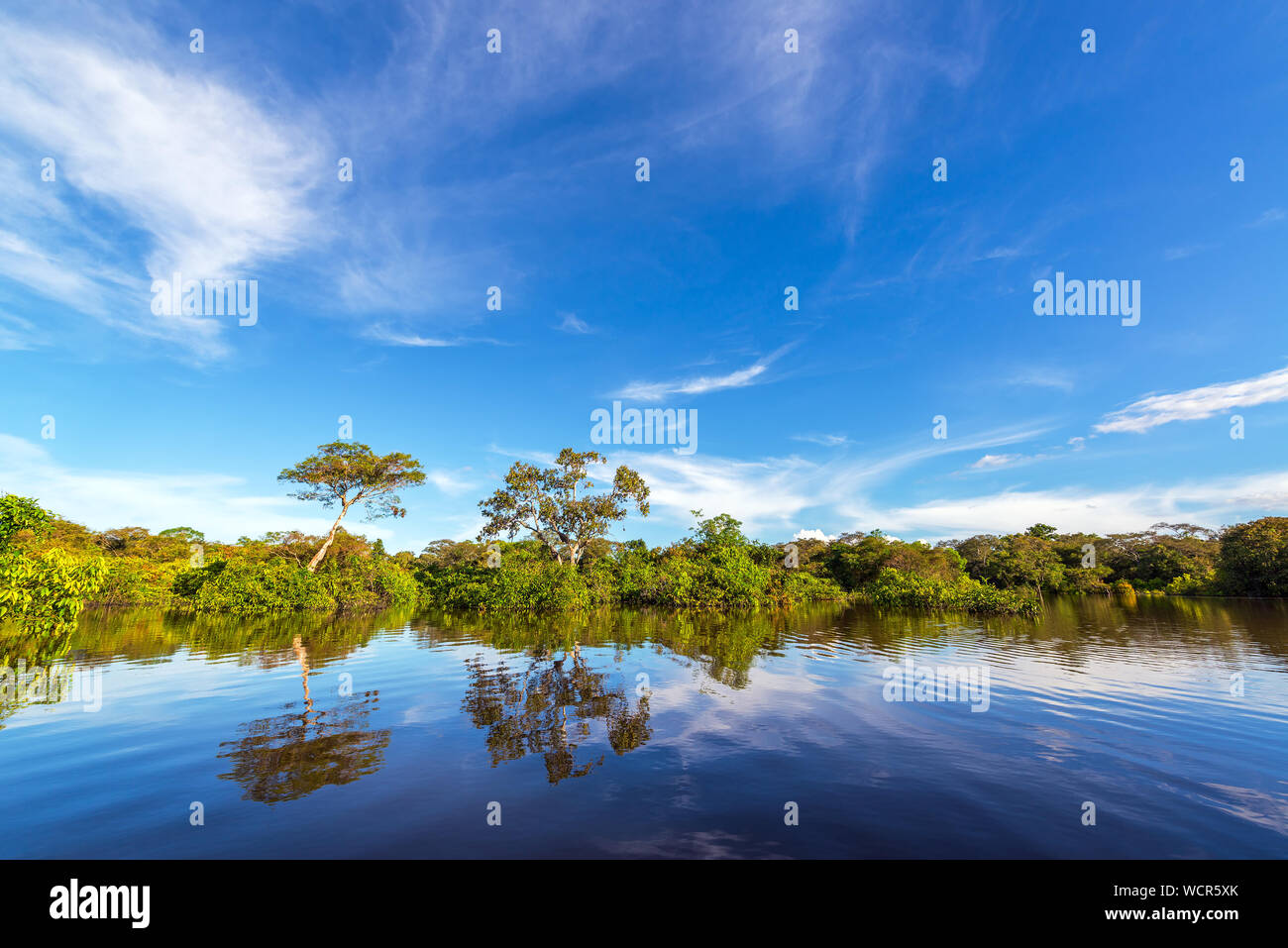 Amazonas regenwald -Fotos und -Bildmaterial in hoher Auflösung – Alamy