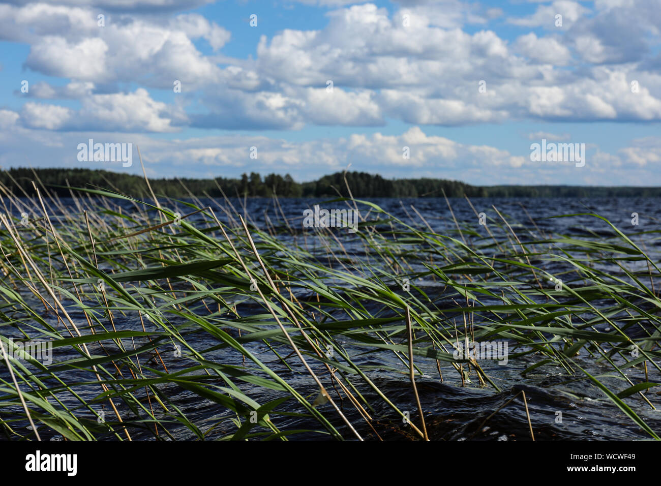 Wind see -Fotos und -Bildmaterial in hoher Auflösung – Alamy