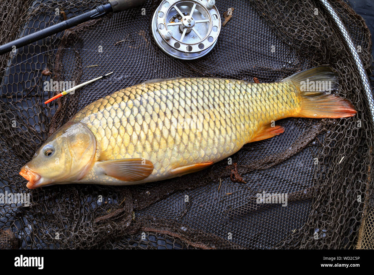 Fische angeln -Fotos und -Bildmaterial in hoher Auflösung – Alamy