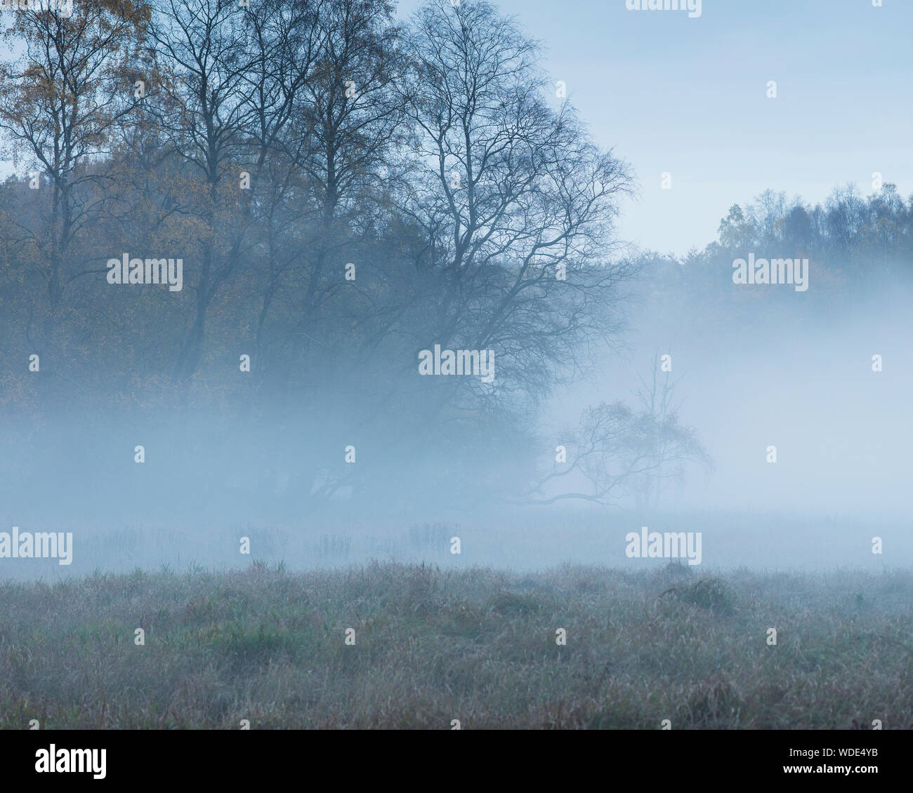 Feld wald -Fotos und -Bildmaterial in hoher Auflösung – Alamy