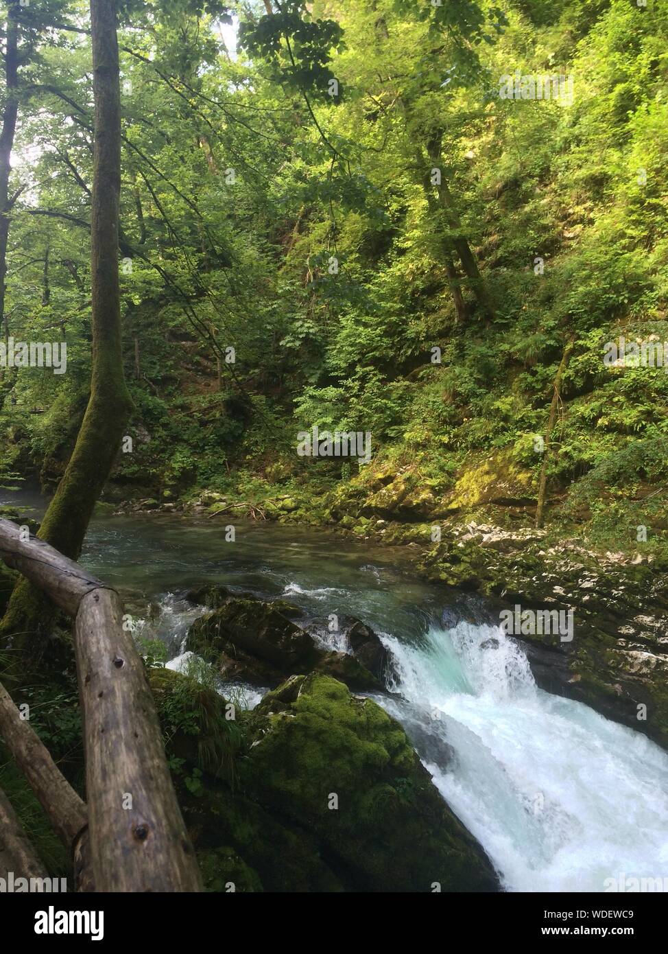 Idyllischer platz am bach -Fotos und -Bildmaterial in hoher Auflösung ...