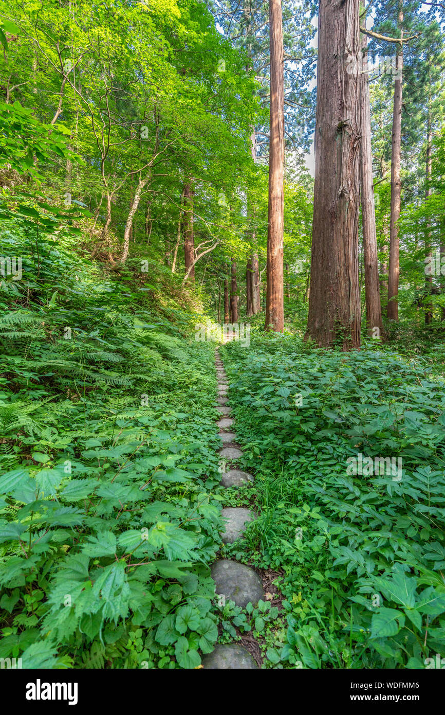 Mount Haguro, Eines der drei heiligen Berge der Provinz Dewa (Dewa ...