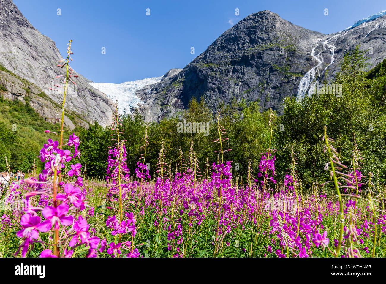 Briksdal Gletscher in Norwegen gut bekannte Arm der großen Gletscher ...