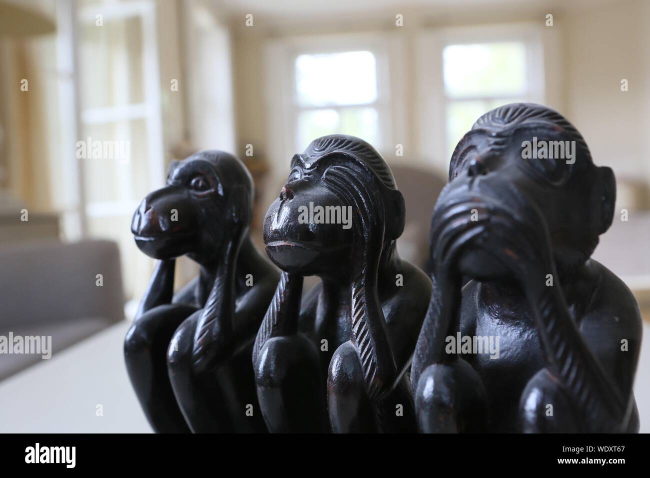 Drei affenmenschen Stockfotos und -bilder Kaufen - Alamy