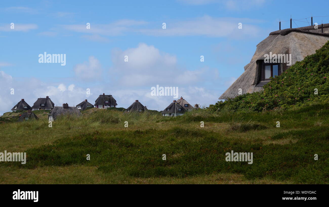Traditionelle Häuser auf Wiese in Sylt in Schleswig - Holstein ...