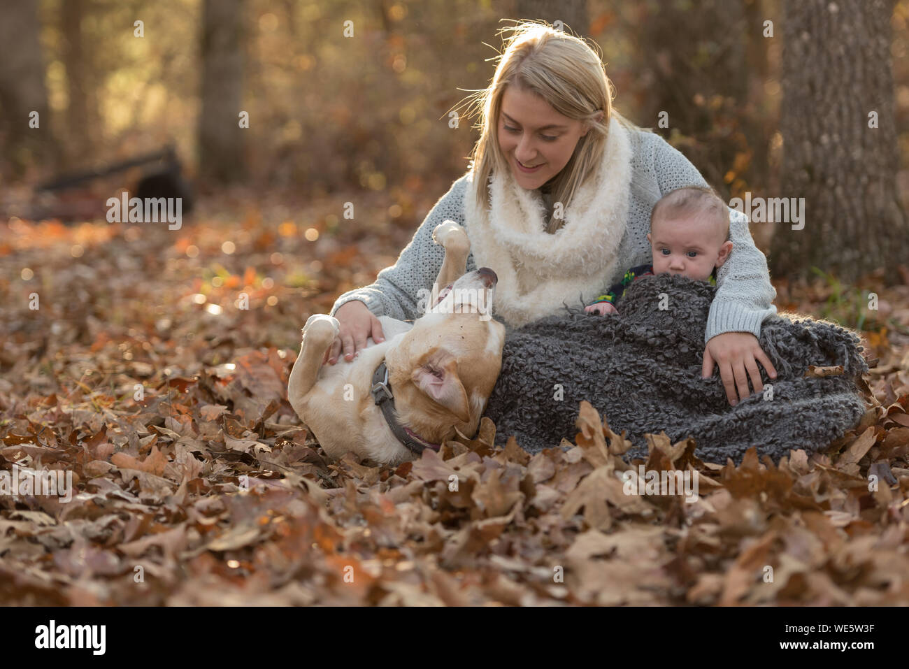 Family with dog and baby -Fotos und -Bildmaterial in hoher Auflösung ...