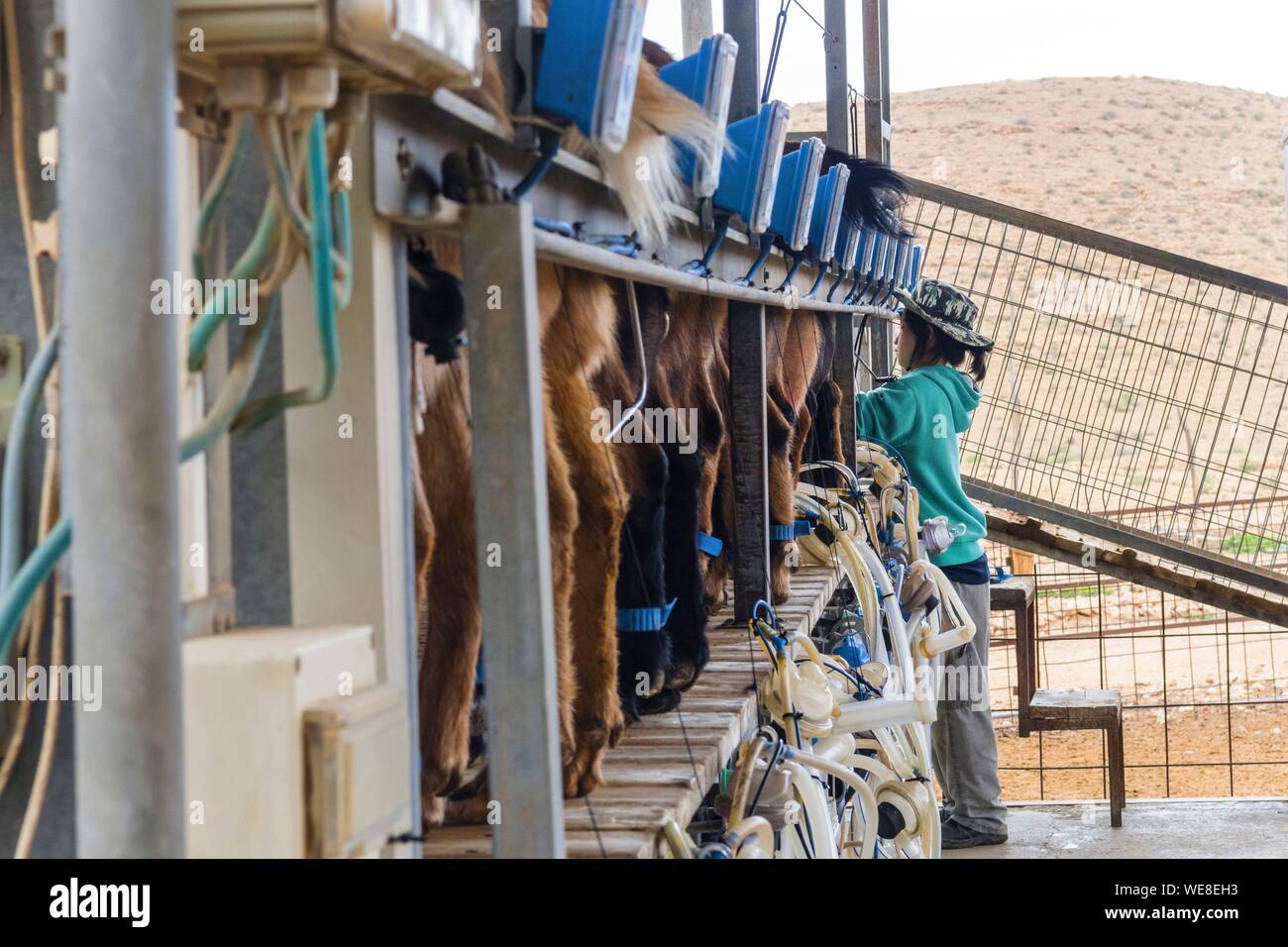 Landwirtschaft in israel -Fotos und -Bildmaterial in hoher Auflösung ...