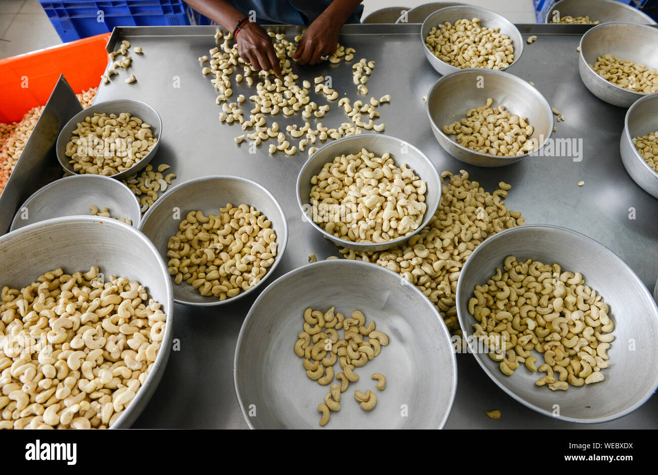 Cashew nuss hand -Fotos und -Bildmaterial in hoher Auflösung – Alamy