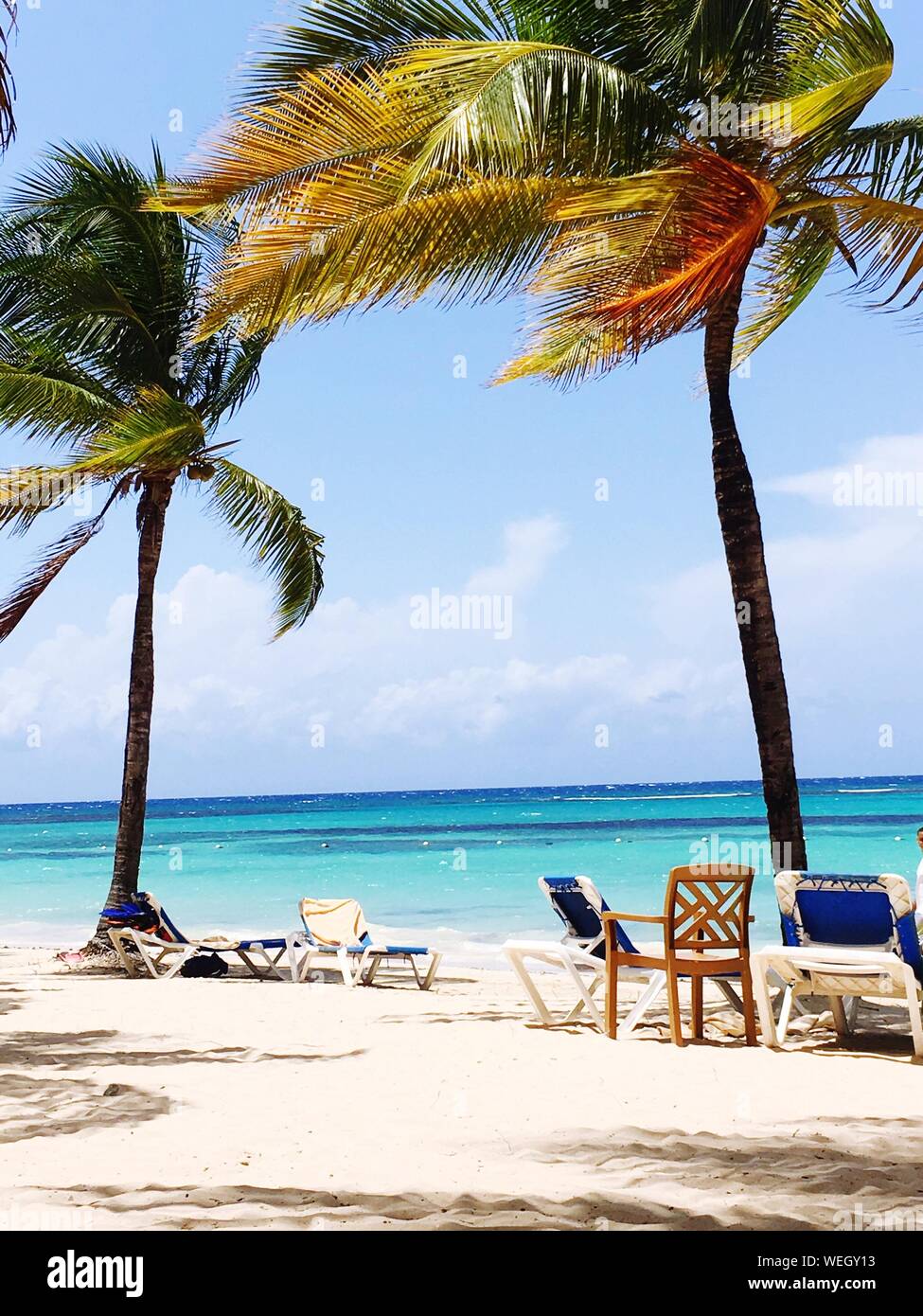 Palmen am Strand Stockfotografie - Alamy
