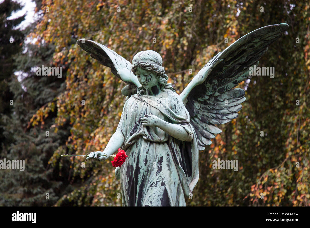 Engel Blume Stockfotos und -bilder Kaufen - Alamy