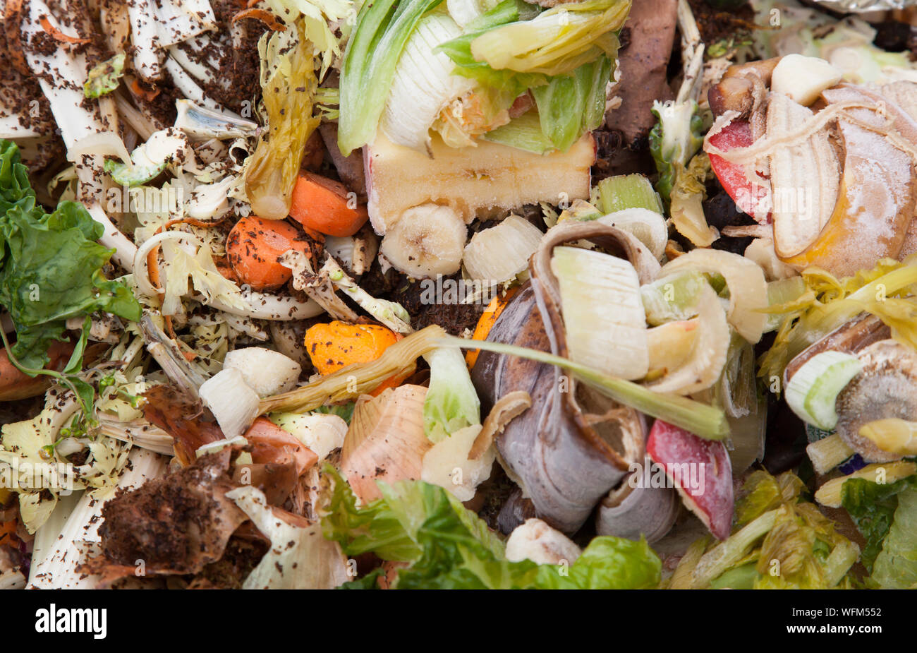 Organischer abfall -Fotos und -Bildmaterial in hoher Auflösung – Alamy