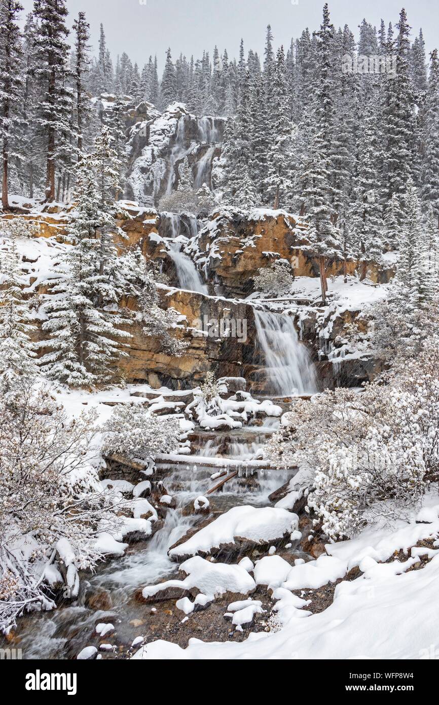 Tangle creek im winter -Fotos und -Bildmaterial in hoher Auflösung – Alamy