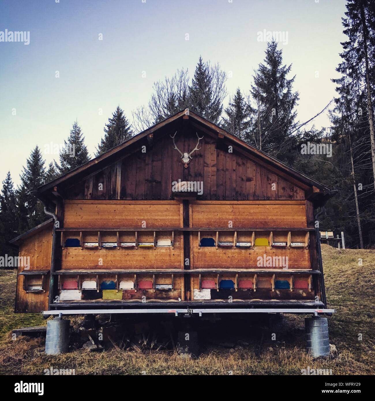 Bienenhaus Baum Stockfotos und -bilder Kaufen - Alamy