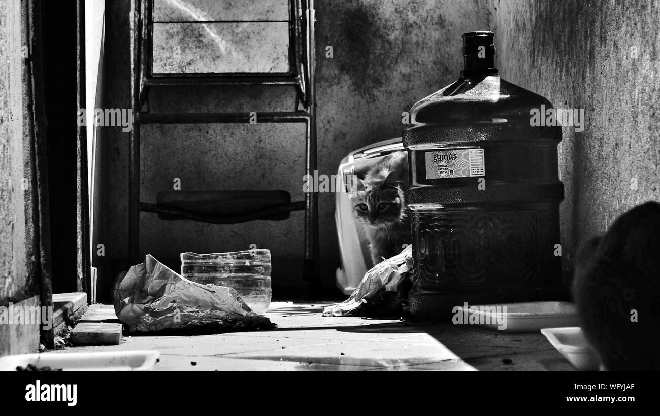 Wasser Gallone Stockfotos und -bilder Kaufen - Alamy