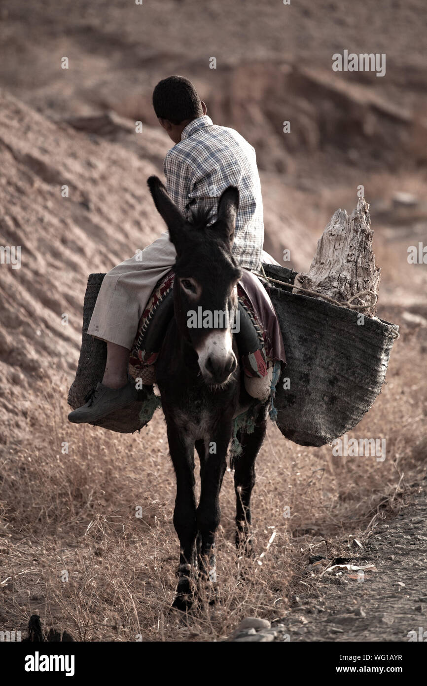 Der mann mit dem esel Stockfotos und -bilder Kaufen - Alamy