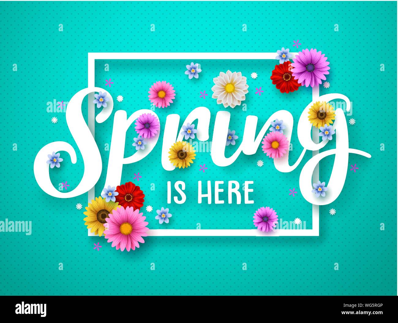 Feder vektor Banner Design. Frühling Text mit bunten Chrysanthemen und ...