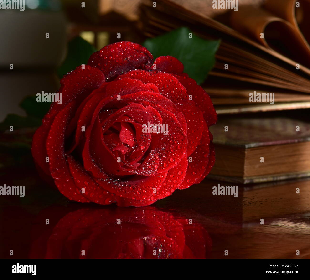 Nasser roter tisch -Fotos und -Bildmaterial in hoher Auflösung – Alamy