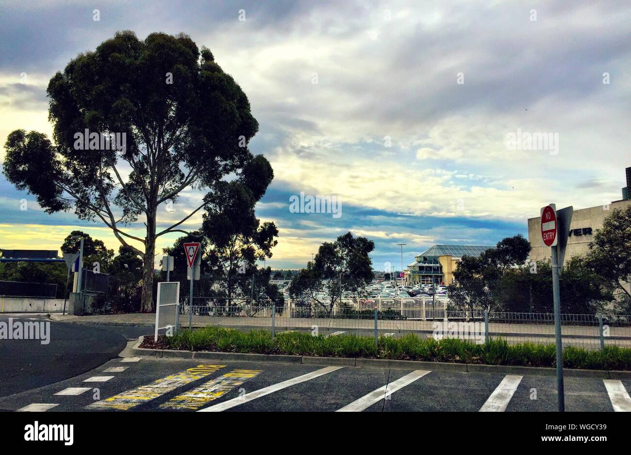 Baum gehweg -Fotos und -Bildmaterial in hoher Auflösung – Alamy