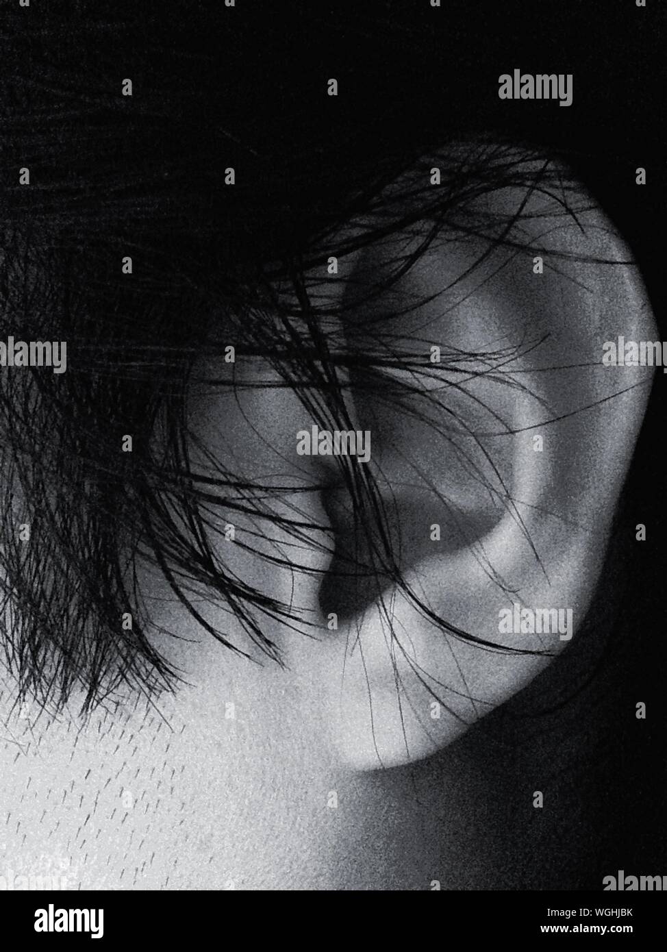 Human ear -Fotos und -Bildmaterial in hoher Auflösung – Alamy