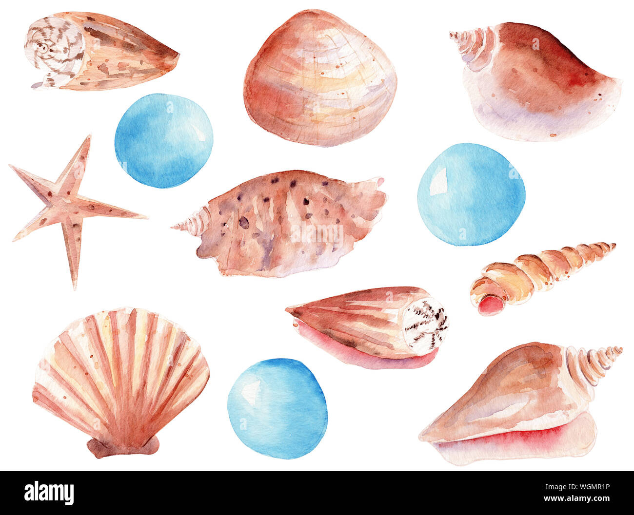 Muscheln und Perlen Hand gezeichnet Aquarell raster Abbildung ...