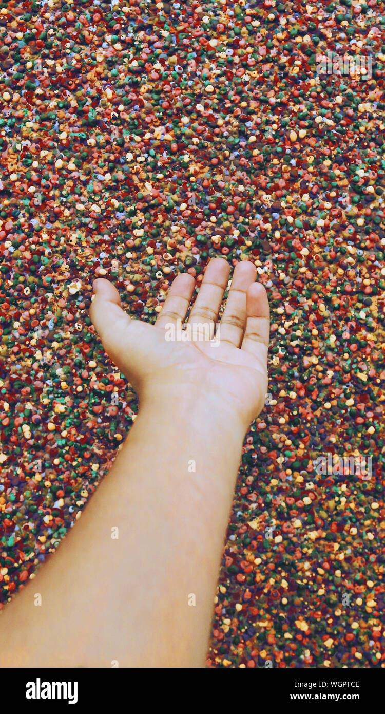 Streckte ihren arm aus -Fotos und -Bildmaterial in hoher Auflösung – Alamy