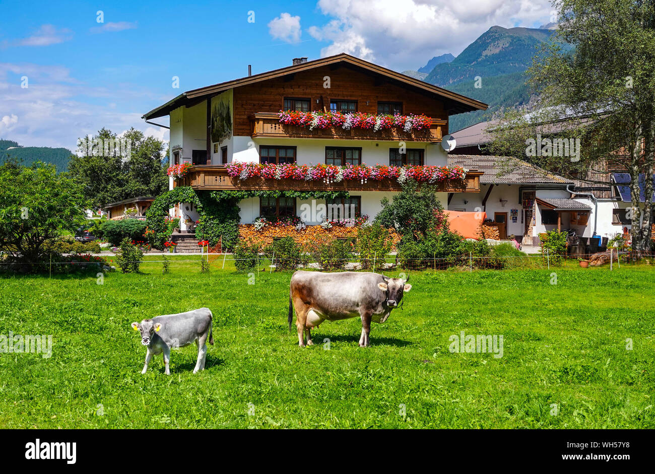 Tiroler bauernhaus -Fotos und -Bildmaterial in hoher Auflösung – Alamy