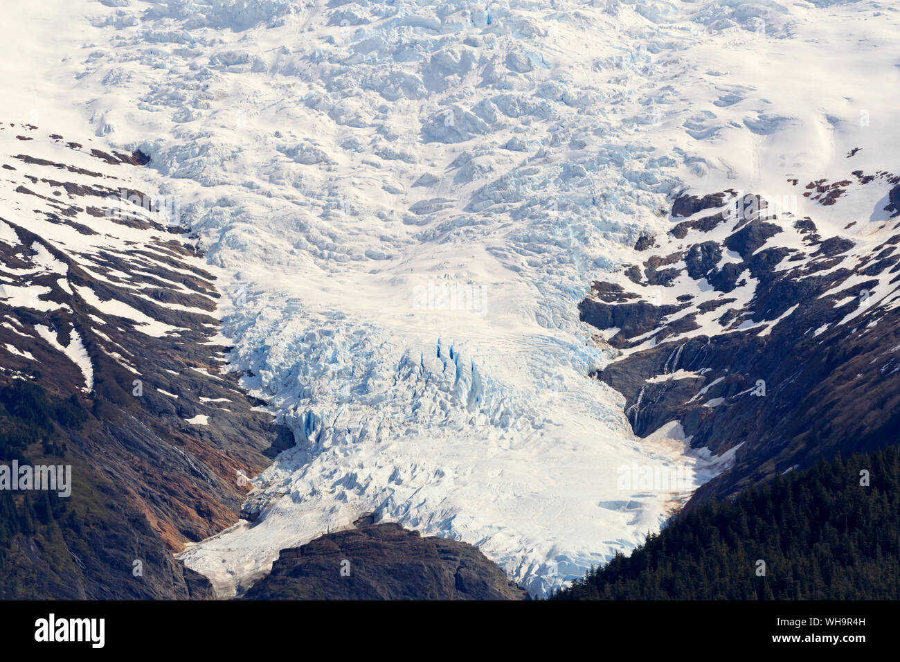Endicott arm fjord -Fotos und -Bildmaterial in hoher Auflösung – Alamy