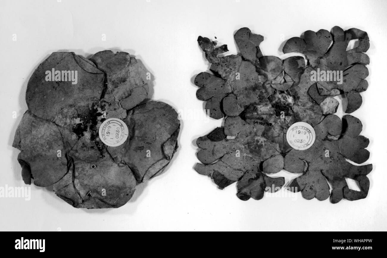 Rosetten -Fotos und -Bildmaterial in hoher Auflösung – Alamy