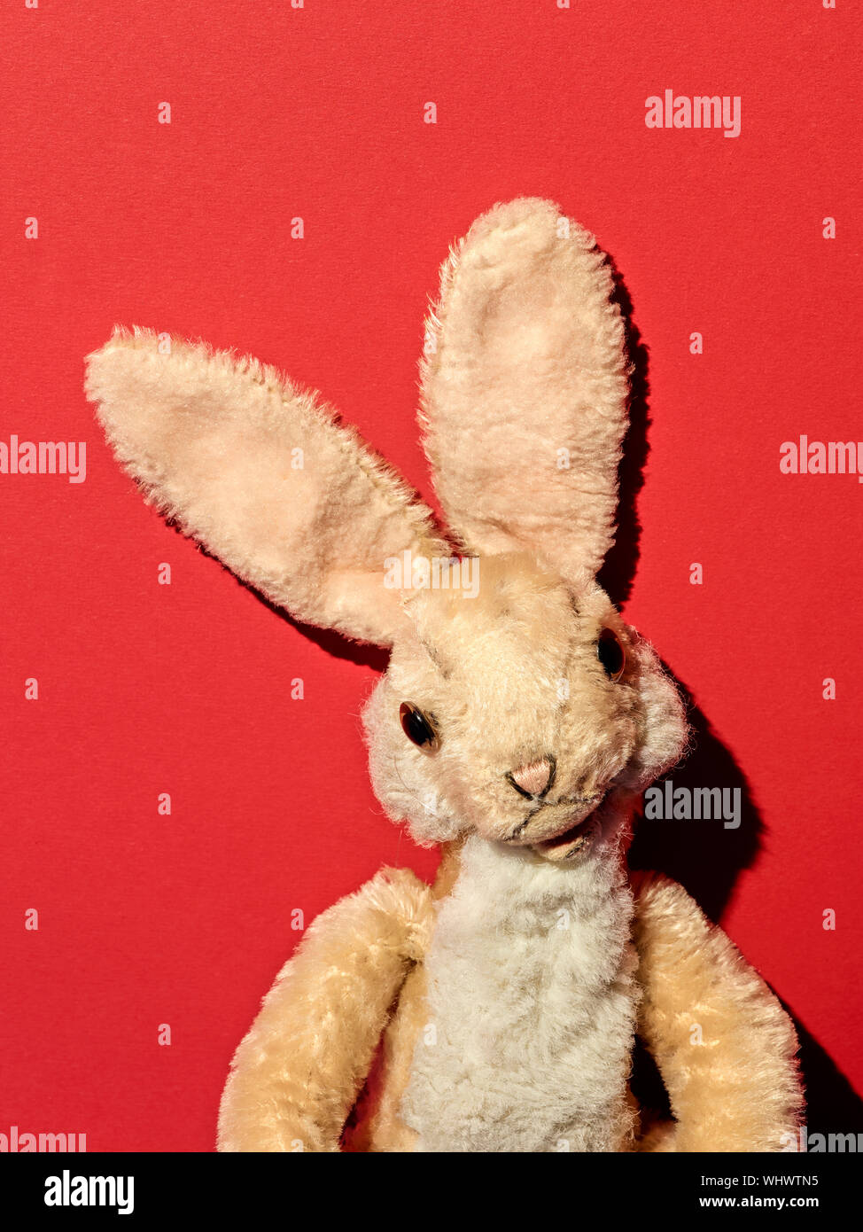 Kuscheltier hase -Fotos und -Bildmaterial in hoher Auflösung – Alamy