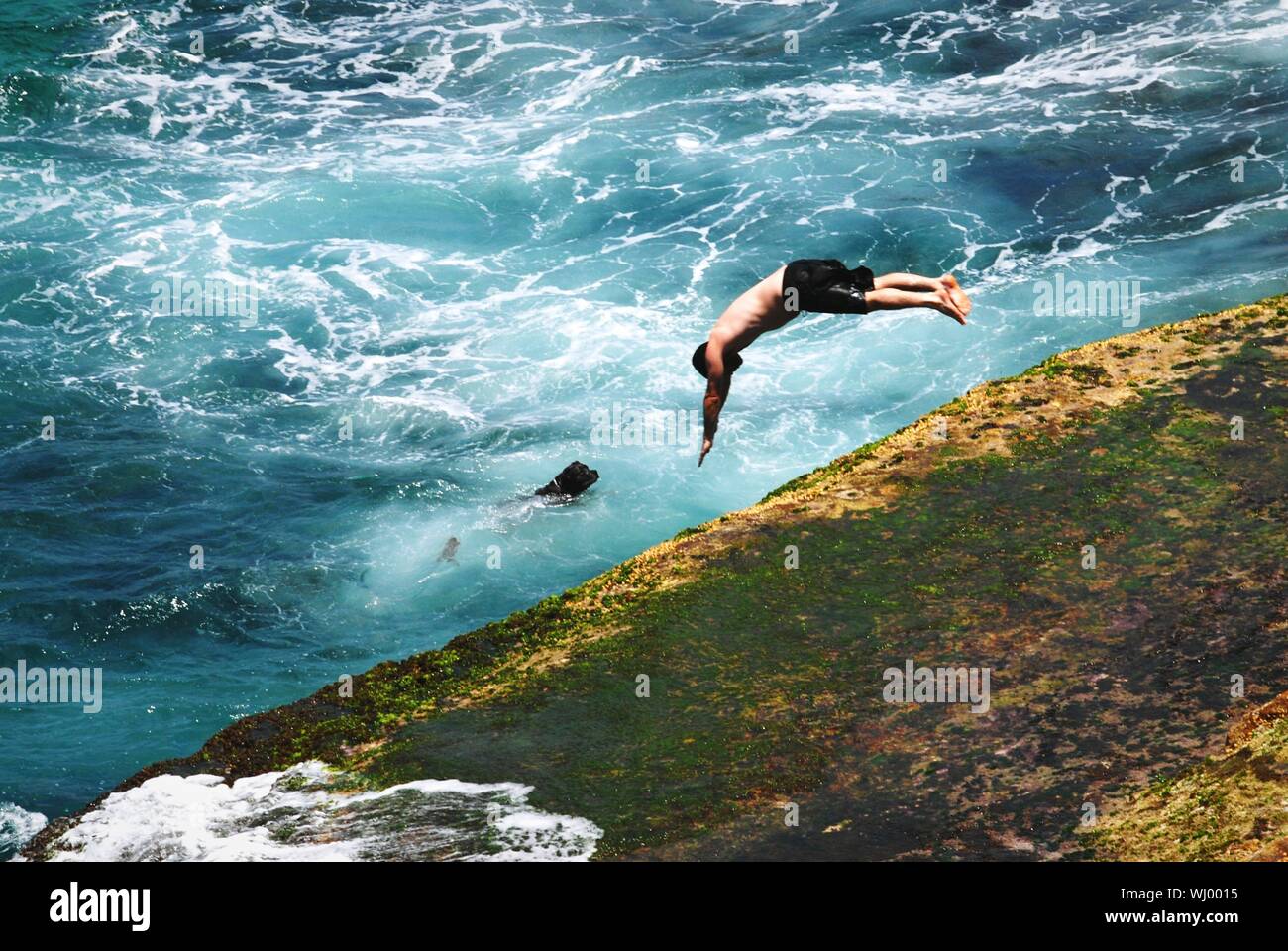 Vom meer springen -Fotos und -Bildmaterial in hoher Auflösung – Alamy