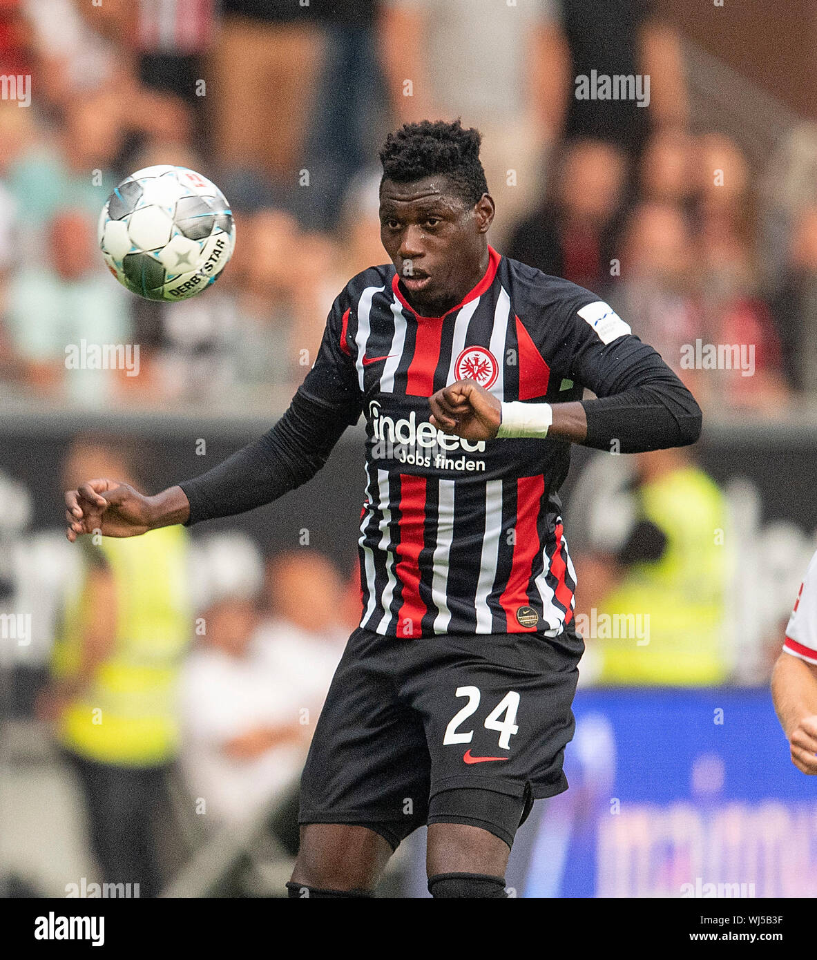 Danny d -Fotos und -Bildmaterial in hoher Auflösung - Seite 2 - Alamy