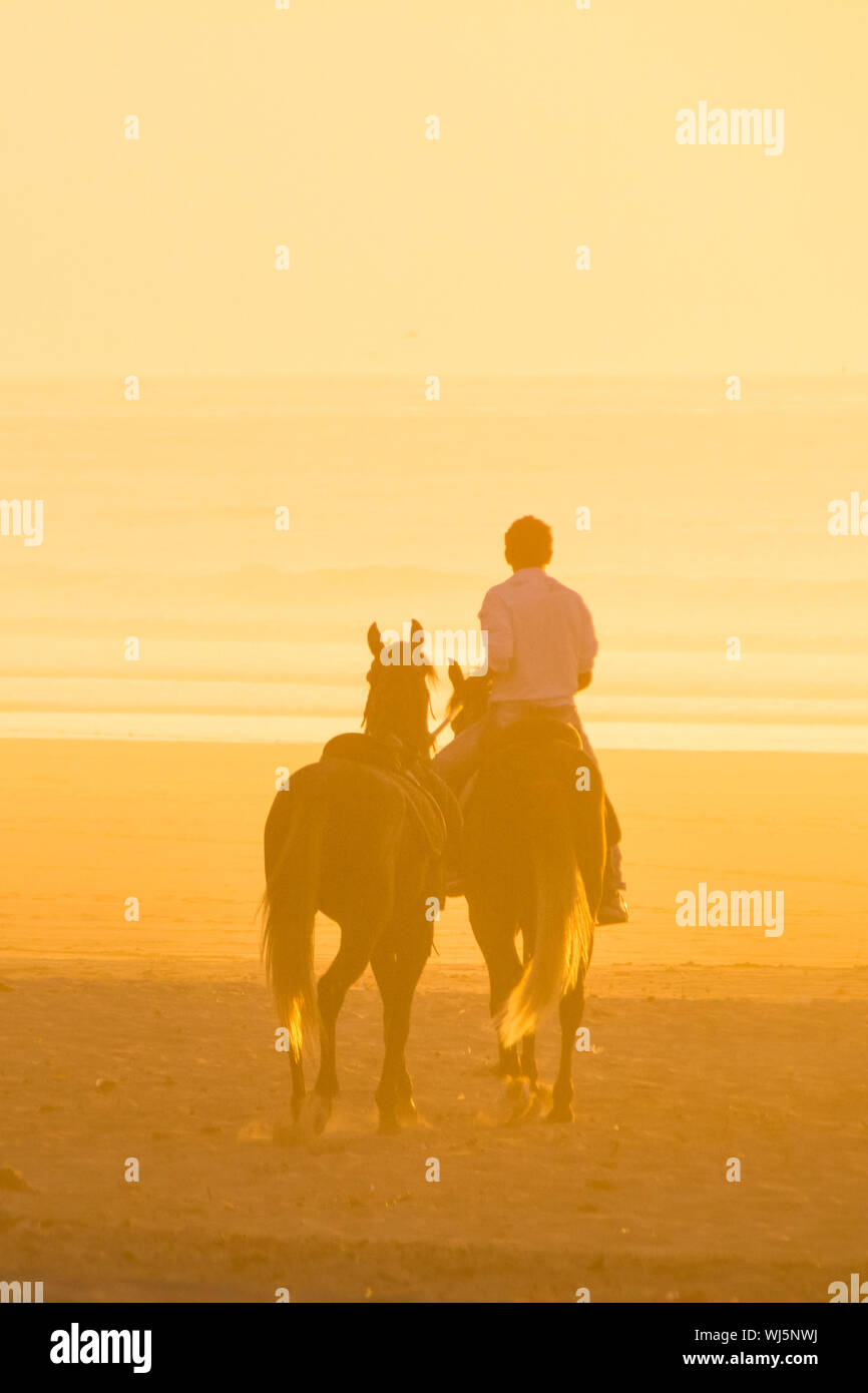 Silhouette reiter strand sonnenuntergang -Fotos und -Bildmaterial in hoher Auflösung – Alamy