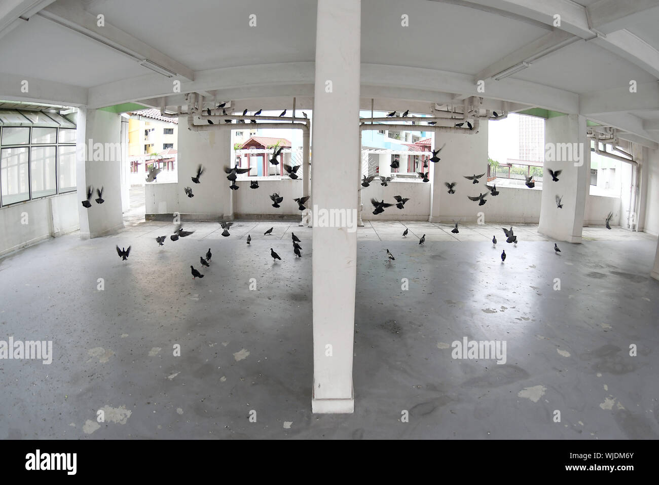 Fish eye -Fotos und -Bildmaterial in hoher Auflösung – Alamy