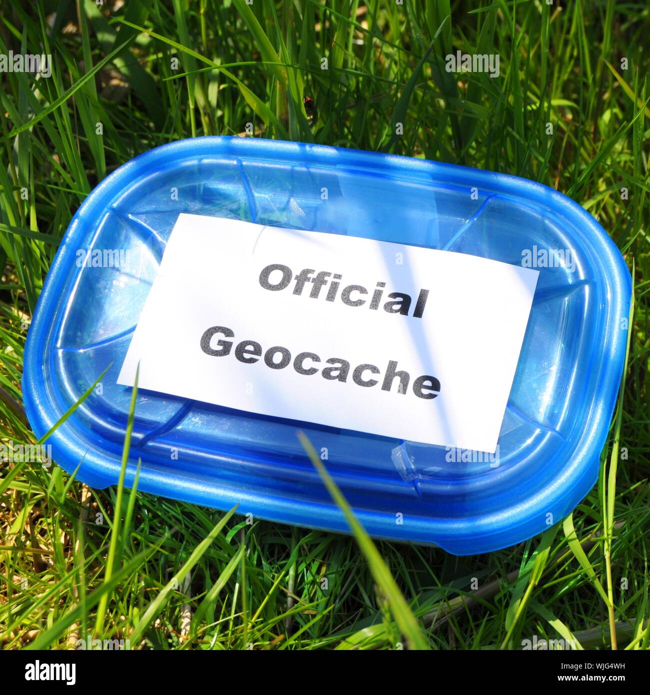 Geocaching-Konzept mit Cache-Box in der Natur Stockfotografie - Alamy