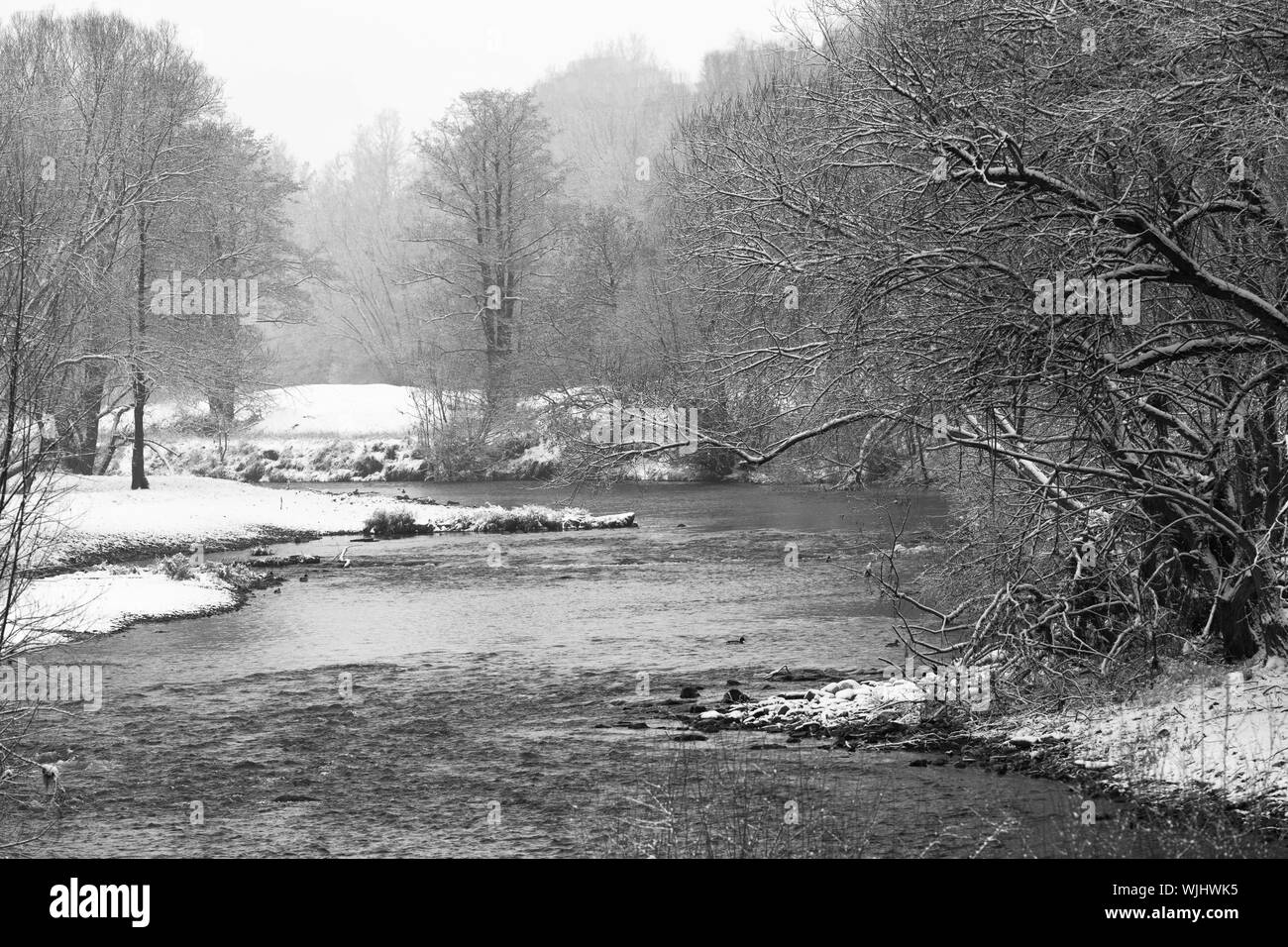 Weiße Elster Stockfotos und -bilder Kaufen - Alamy